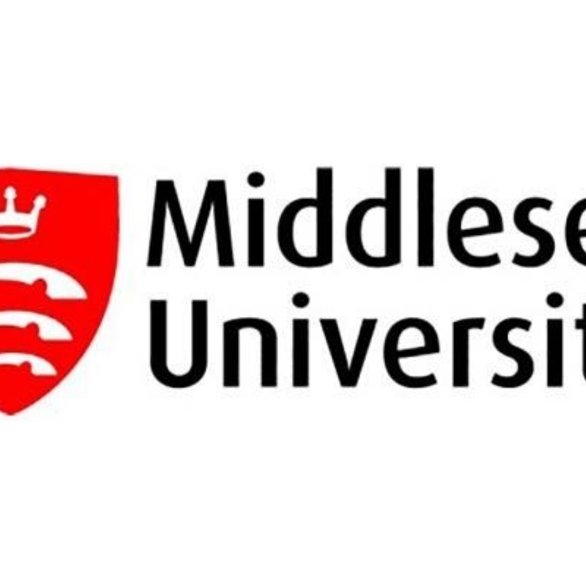 Harrow High School - Middlesex University - Life Skill Workshops